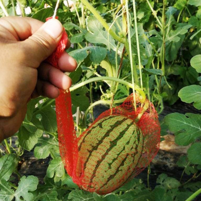 Greenhouse Hanging Watermelon Net Bag | tote bag manufacturers